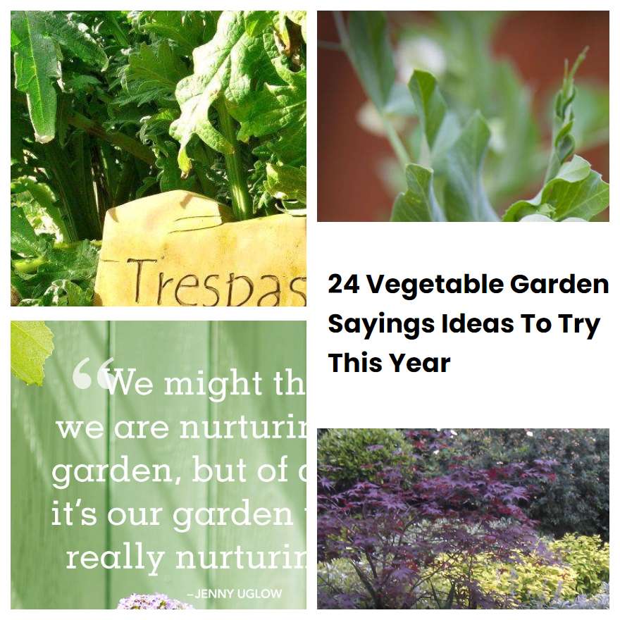 24 Vegetable Garden Sayings Ideas To Try This Year | SharonSable