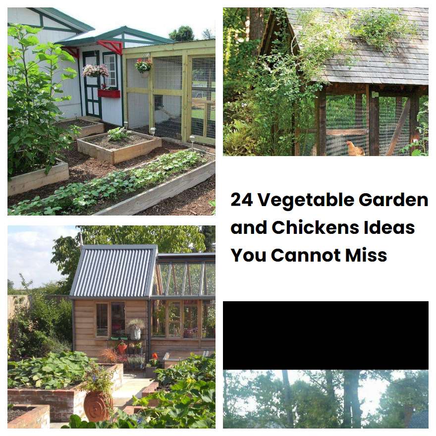 24 Vegetable Garden and Chickens Ideas You Cannot Miss | SharonSable