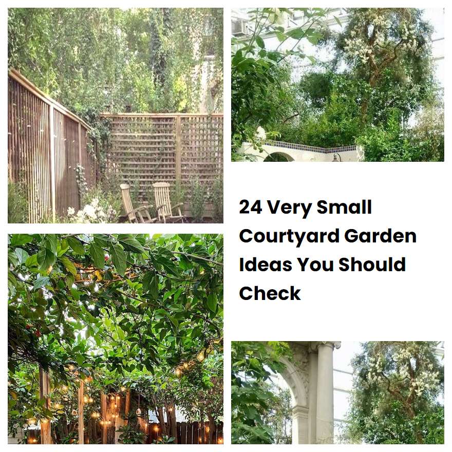 24 Very Small Courtyard Garden Ideas You Should Check | SharonSable