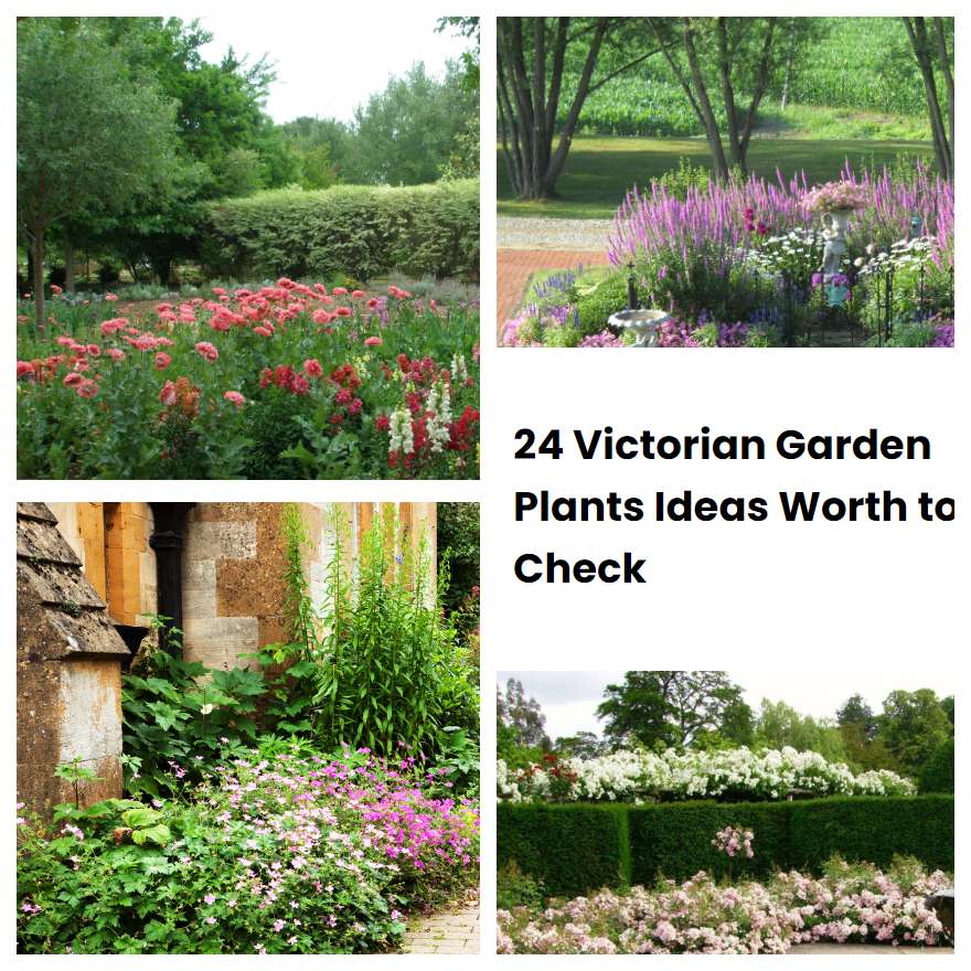 24 Victorian Garden Plants Ideas Worth to Check | SharonSable
