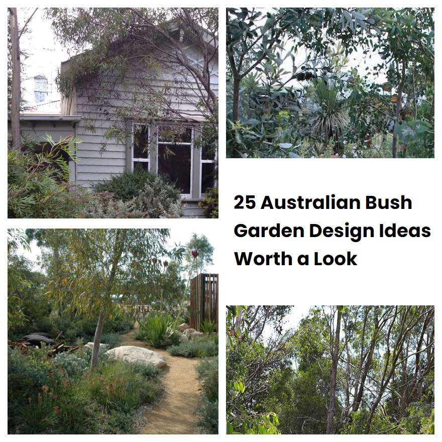 25 Australian Bush Garden Design Ideas Worth a Look | SharonSable