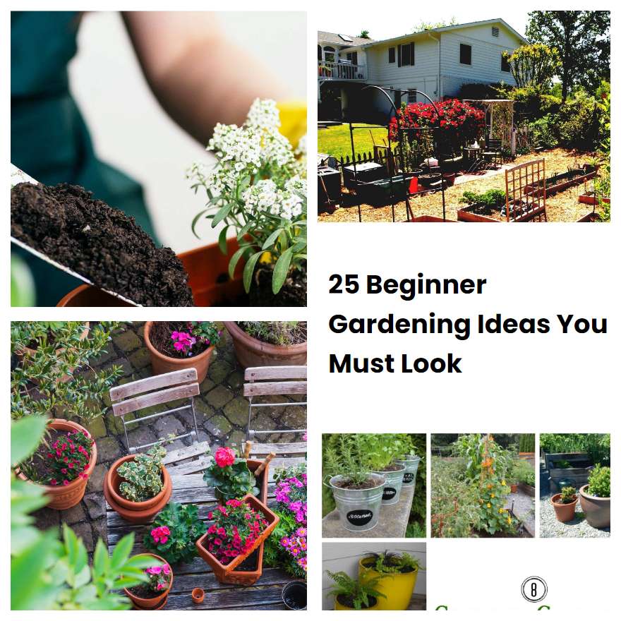 25 Beginner Gardening Ideas You Must Look | SharonSable