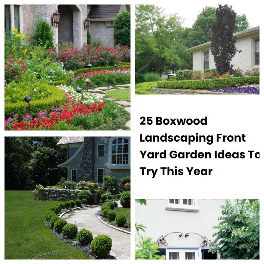 25 Boxwood Landscaping Front Yard Garden Ideas To Try This Year ...