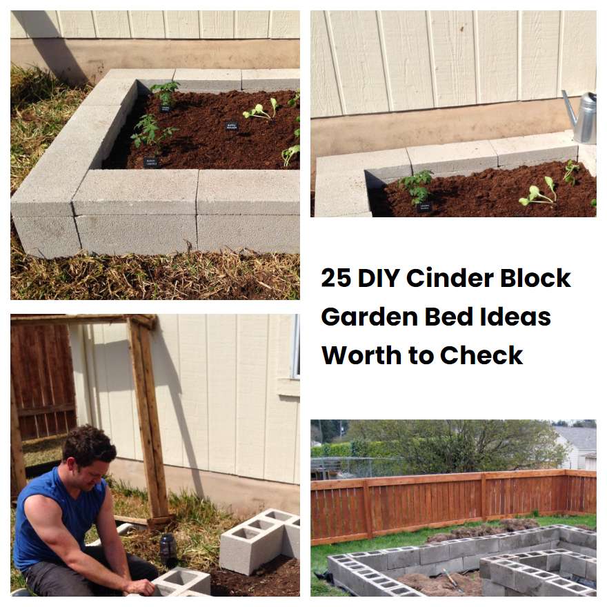 25 DIY Cinder Block Garden Bed Ideas Worth to Check | SharonSable