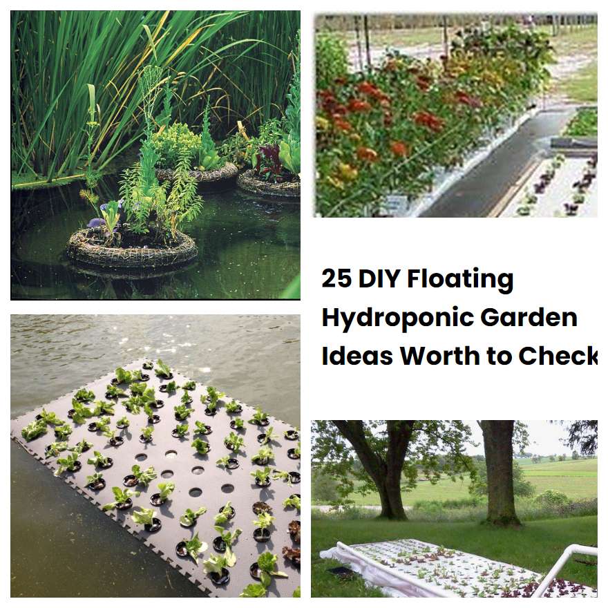 25 DIY Floating Hydroponic Garden Ideas Worth to Check | SharonSable