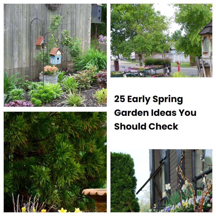 25 Early Spring Garden Ideas You Should Check | SharonSable