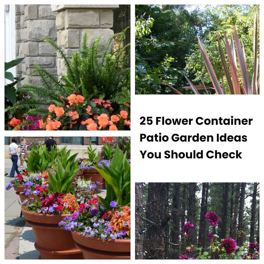 25 Flower Container Patio Garden Ideas You Should Check | SharonSable