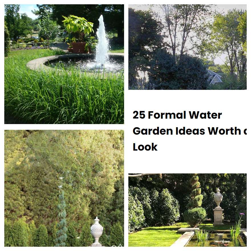 25 Formal Water Garden Ideas Worth a Look | SharonSable