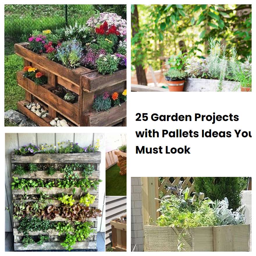 25 Garden Projects with Pallets Ideas You Must Look | SharonSable