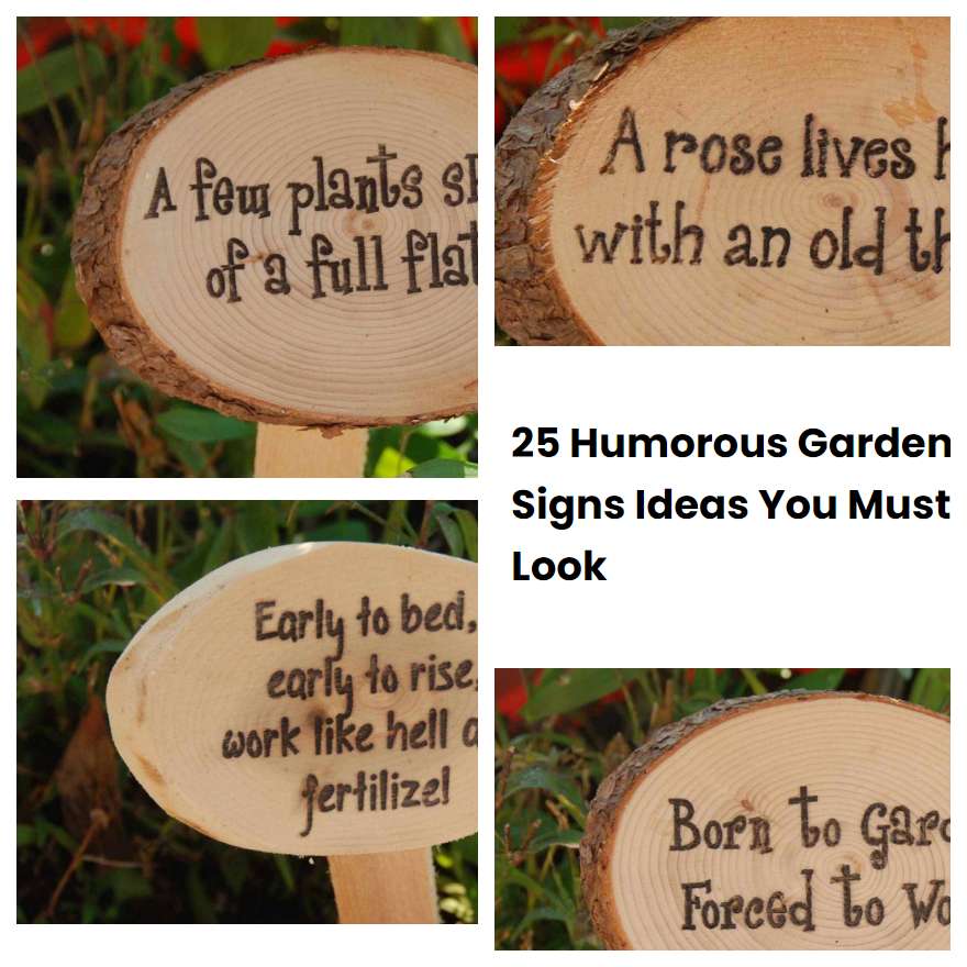 25 Humorous Garden Signs Ideas You Must Look | SharonSable