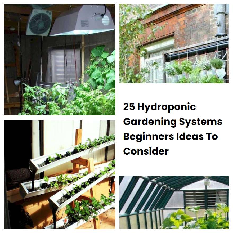 25 Hydroponic Gardening Systems Beginners Ideas To Consider | SharonSable