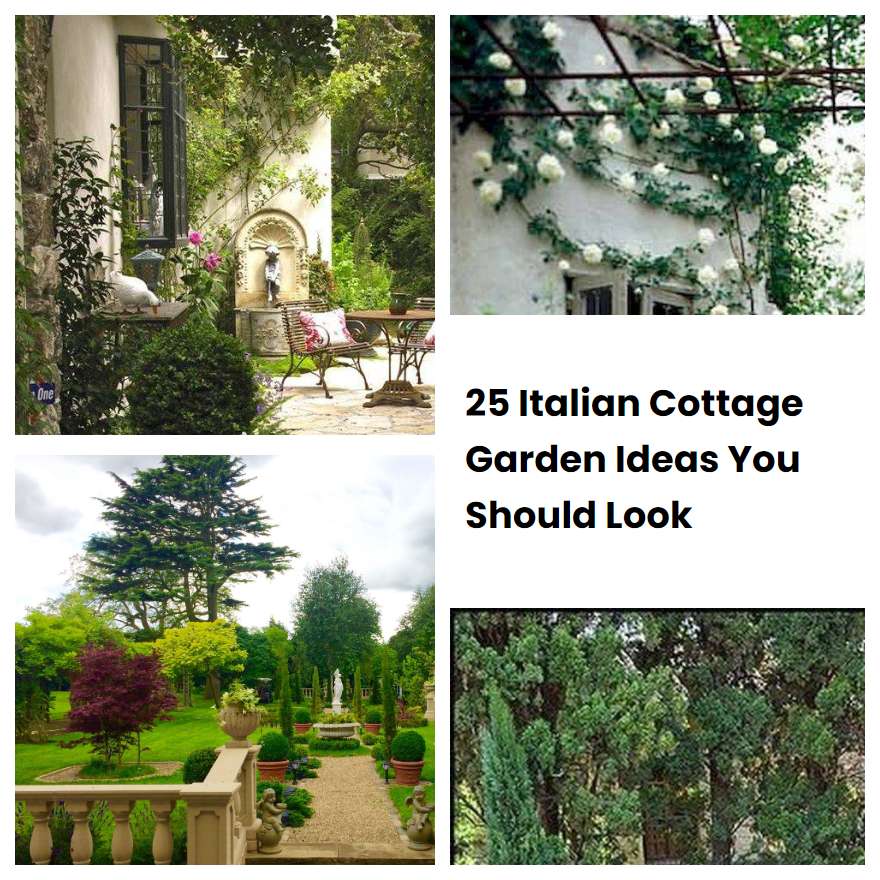 25 Italian Cottage Garden Ideas You Should Look | SharonSable