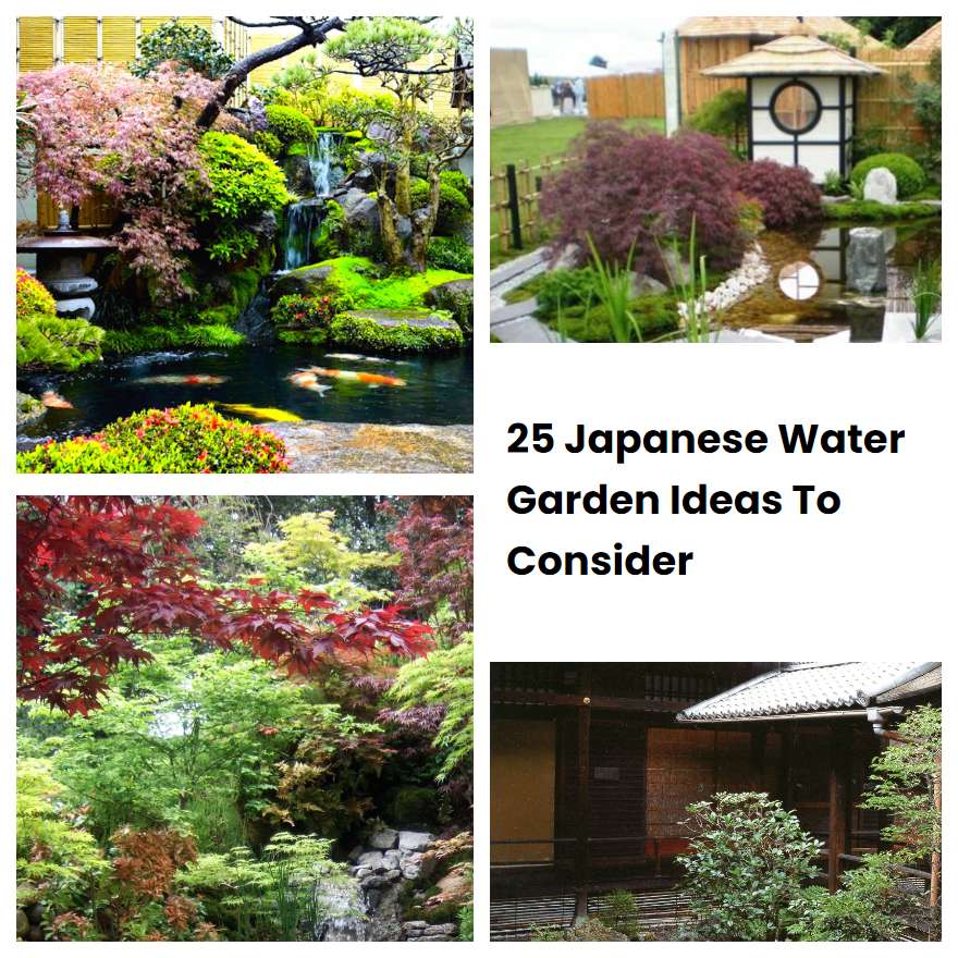 25 Japanese Water Garden Ideas To Consider | SharonSable