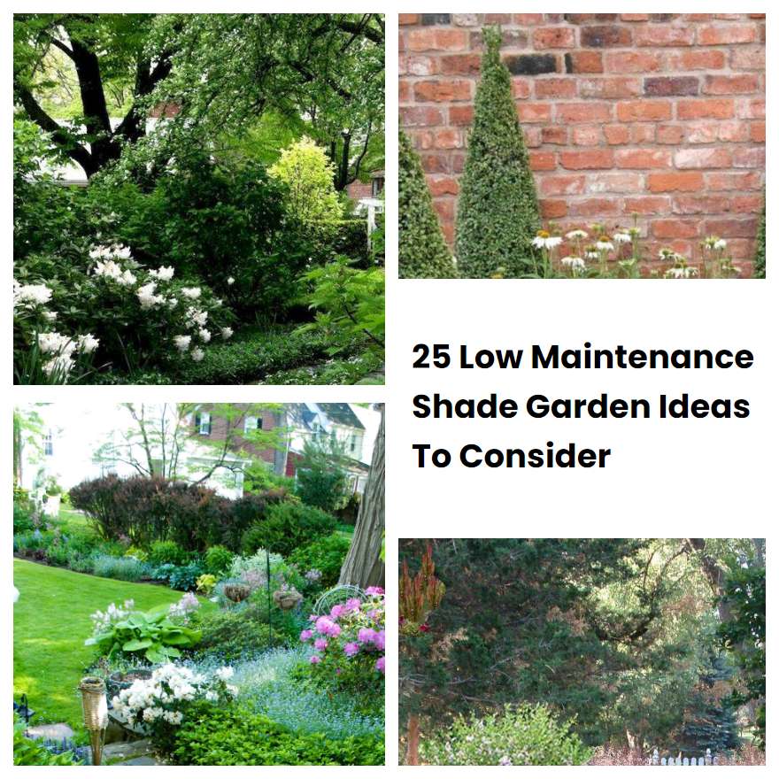 17 Rectangular Garden Design Layout Ideas For This Year | SharonSable