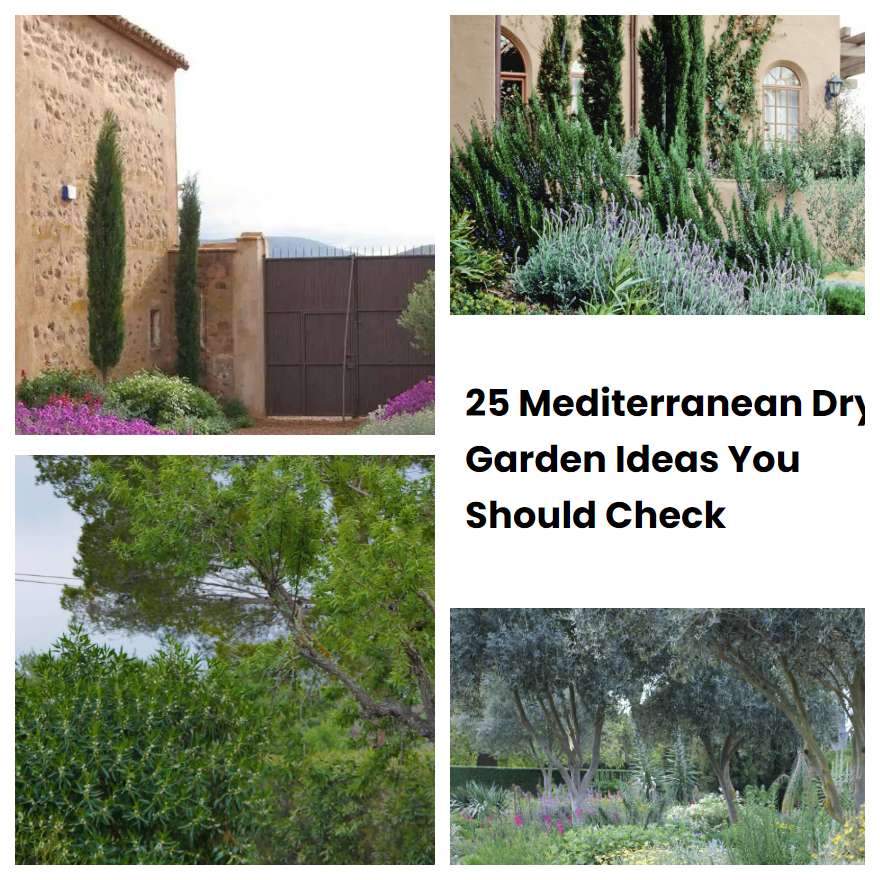 25 Mediterranean Dry Garden Ideas You Should Check | SharonSable