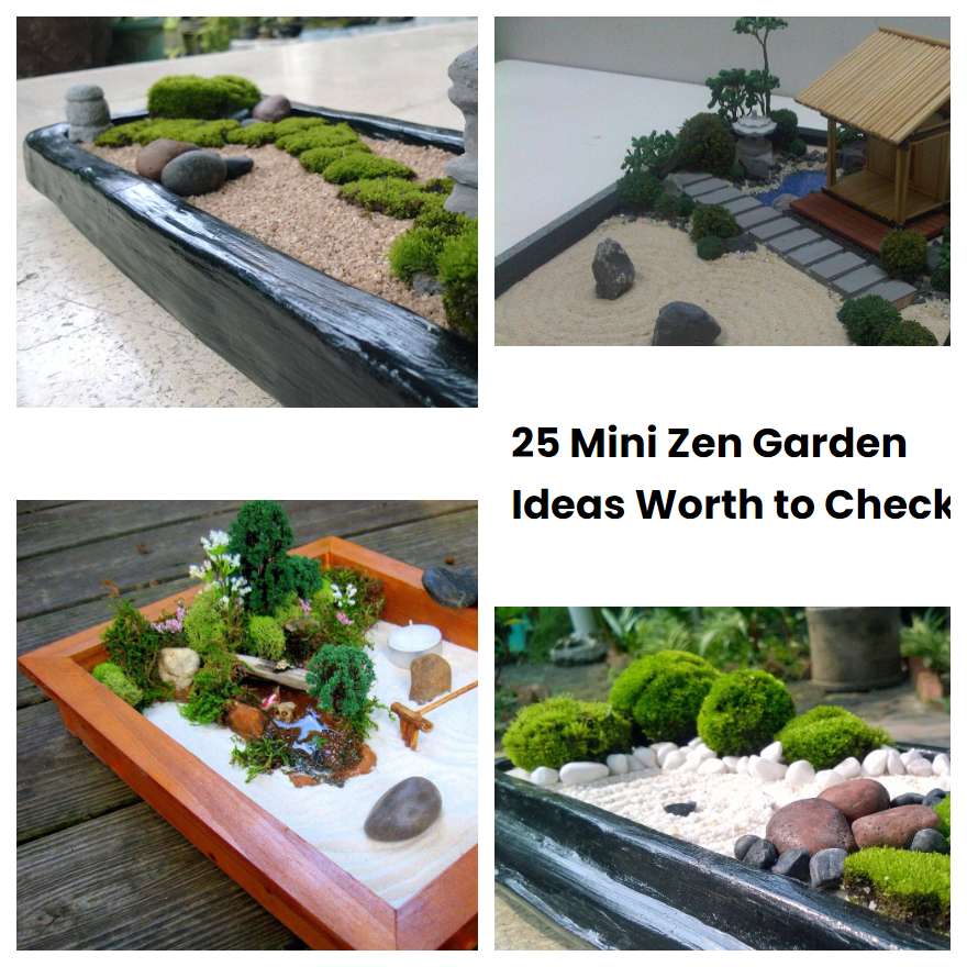 25 Mini Zen Garden Ideas Worth to Check | SharonSable