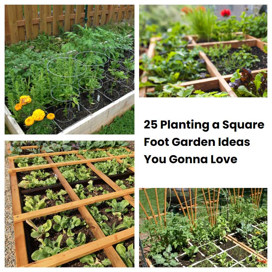 25 Planting a Square Foot Garden Ideas You Gonna Love | SharonSable