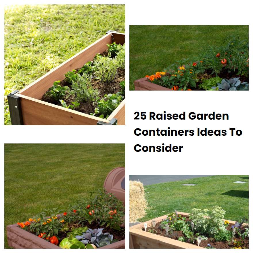 25 Raised Garden Containers Ideas To Consider | SharonSable