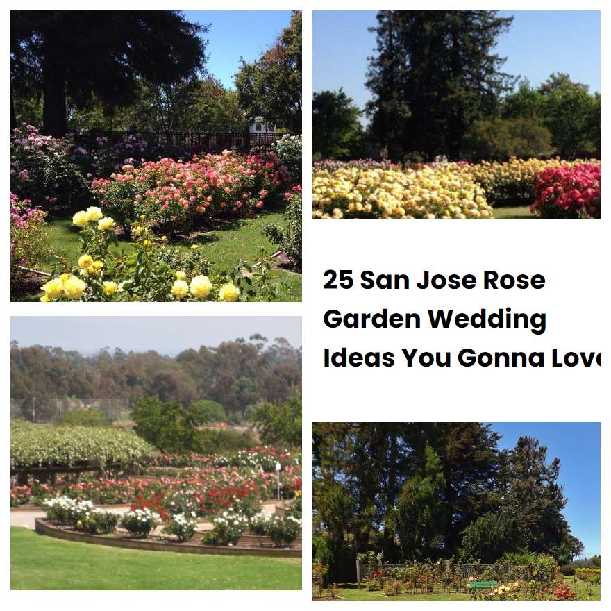 25 San Jose Rose Garden Wedding Ideas You Gonna Love | SharonSable