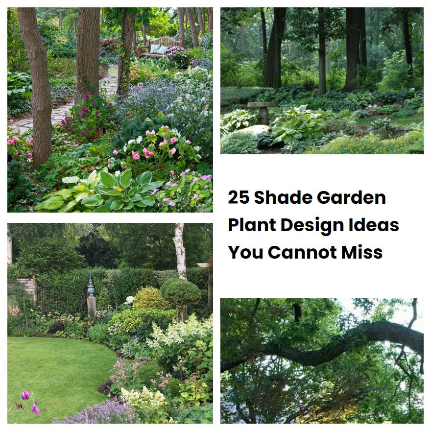 25 Shade Garden Plant Design Ideas You Cannot Miss | SharonSable