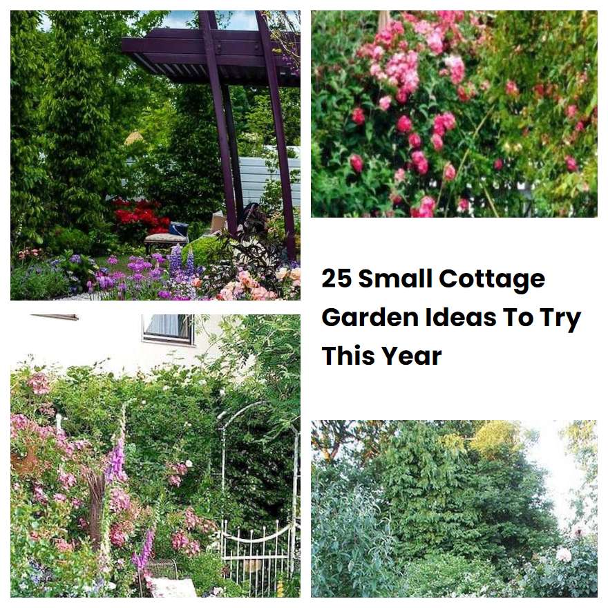 25 Small Cottage Garden Ideas To Try This Year | SharonSable