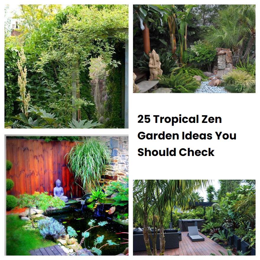 25 Tropical Zen Garden Ideas You Should Check | SharonSable