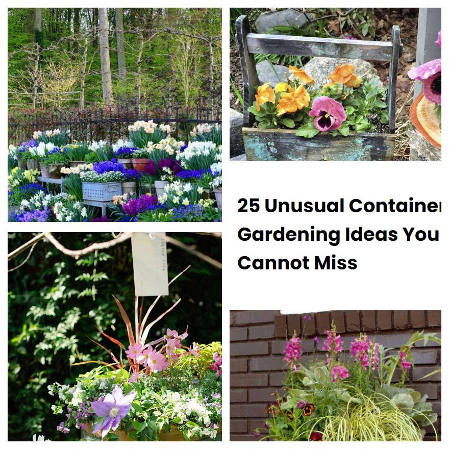 25 Unusual Container Gardening Ideas You Cannot Miss | SharonSable