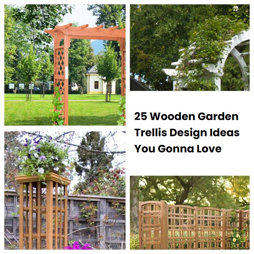 25 Wooden Garden Trellis Design Ideas You Gonna Love | SharonSable