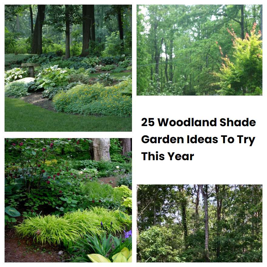 25 Woodland Shade Garden Ideas To Try This Year | SharonSable
