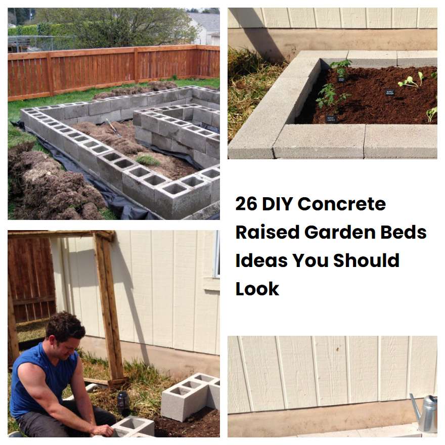 26 DIY Concrete Raised Garden Beds Ideas You Should Look | SharonSable