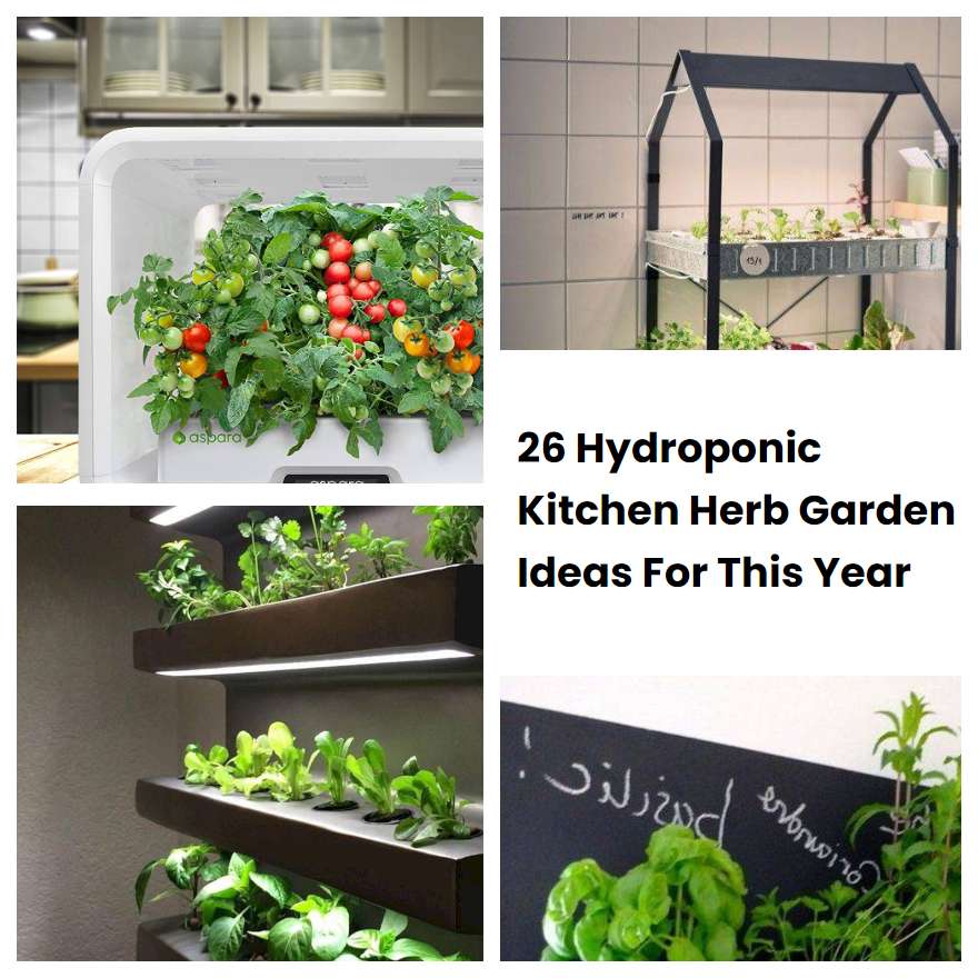 26 Hydroponic Kitchen Herb Garden Ideas For This Year | SharonSable