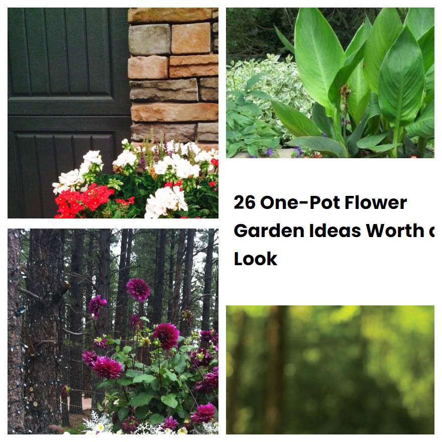 26 One-Pot Flower Garden Ideas Worth a Look | SharonSable