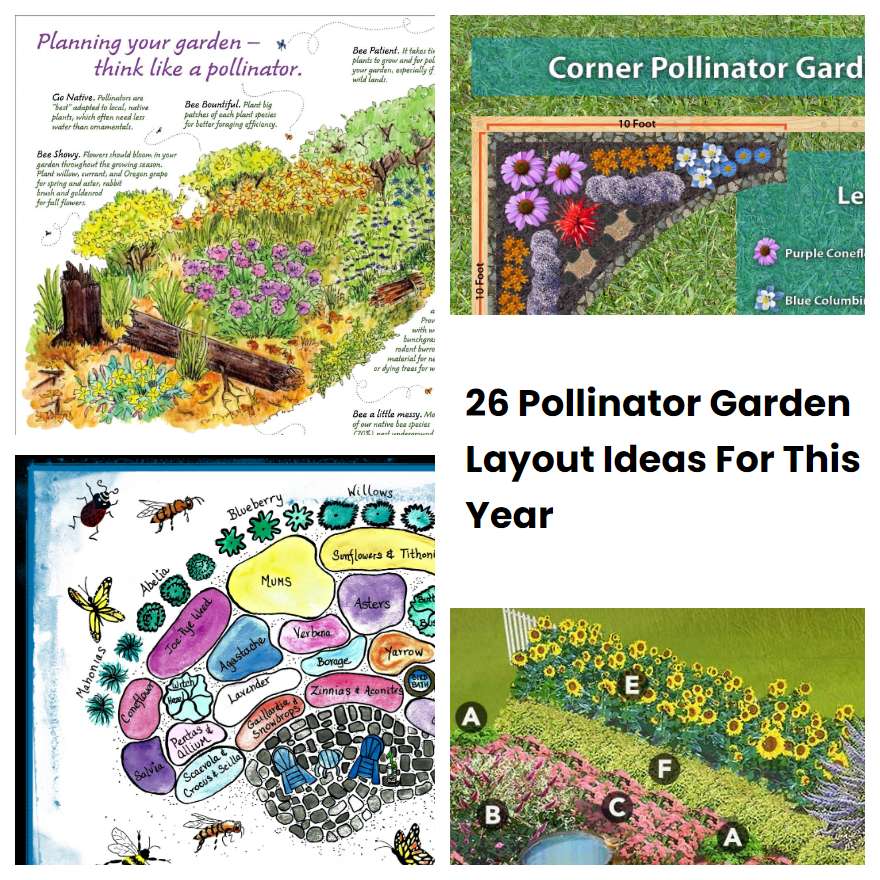 26 Pollinator Garden Layout Ideas For This Year | SharonSable