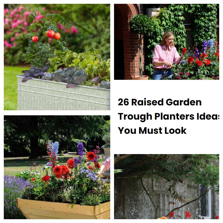 26 Raised Garden Trough Planters Ideas You Must Look | SharonSable