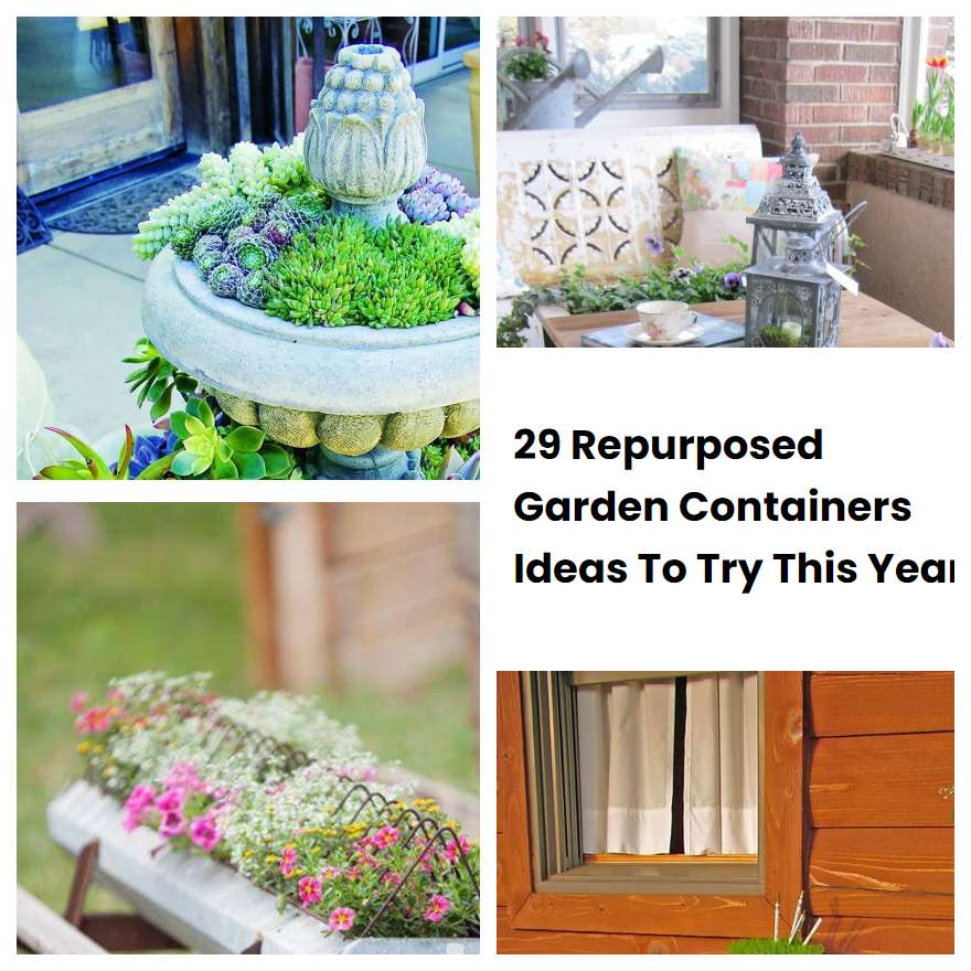 29 Repurposed Garden Containers Ideas To Try This Year | SharonSable