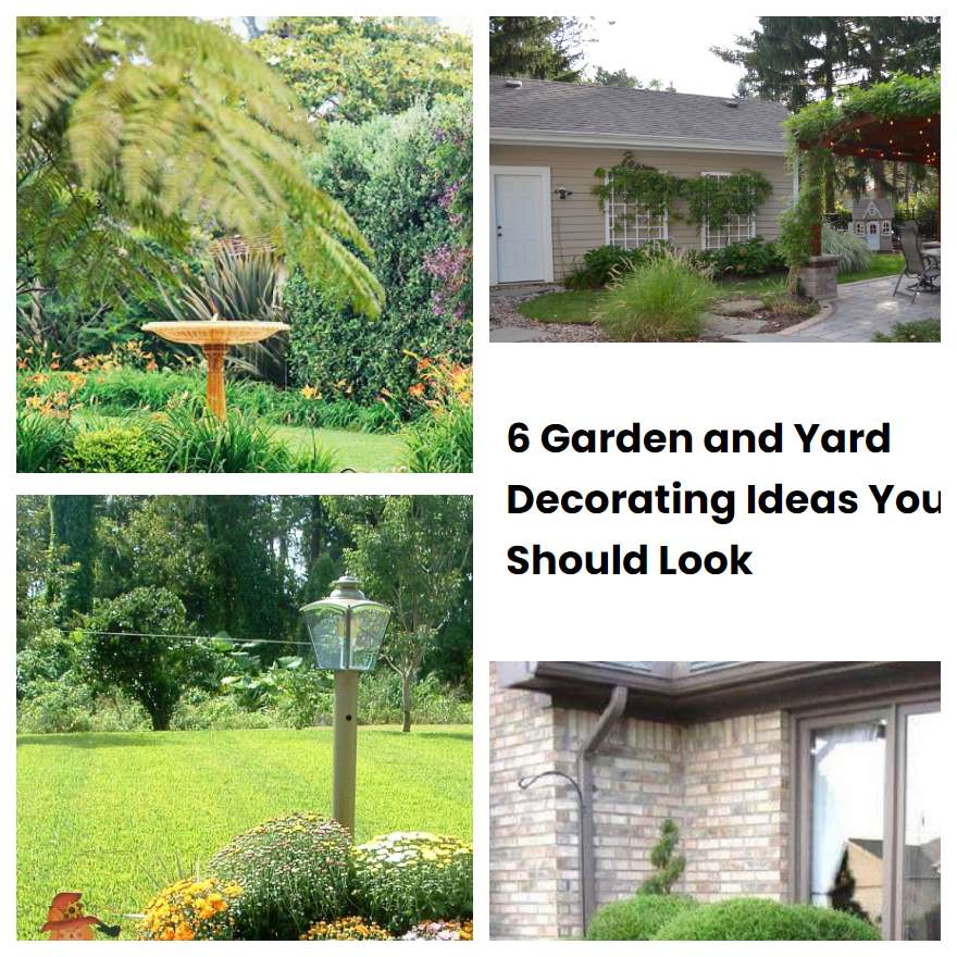 6 Garden and Yard Decorating Ideas You Should Look | SharonSable